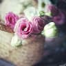 Eman Sayed