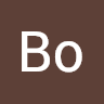 Bo BI