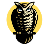 OwlVisionConsulting