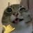 Test One