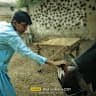 Usman Mahar