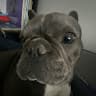alan