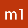 m1 thesav
