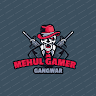 Mehul Gamer