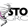 clear storm mediagroup