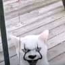 Bryan