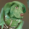 bob