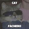 CatMafia OMG