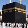 Madi Alshareef
