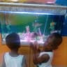 adama aubin alexis TOURE