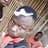 Leku Dominic