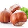 Black Hazelnut