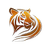 Chouaib PRO
