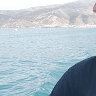 ayoub guennane