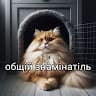 Тимур Никитин