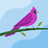 Aditya .S