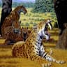 Smilodon Mosbach