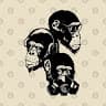 Le singe