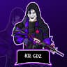 BIL GDZ