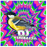 DJ VERÉBASZÓ