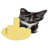 himothy himster