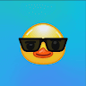 Decoy