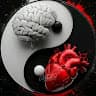 Mr Bima