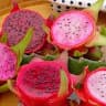 Dragon Fruit South-Africa Community Program