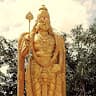 Varshitha Varshitha