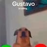 Mastro Lindo
