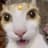 Alex Joestar
