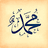 Mohammed Gabr