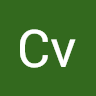 Cv Editing