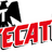 dj tecate