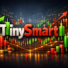 TinySmart