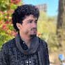 ابن الشامي