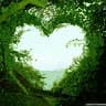 Yathish Chandhreddy