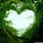 Yathish Chandhreddy