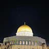 علاء صبح