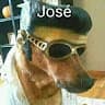 dante mir flores