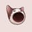 Stoopid Cat