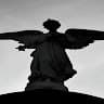 Beni Bojic