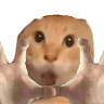 mambo “mambo” daoli