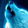 GURSEL _07