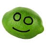WASD FLS
