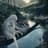 mianlyst -