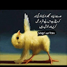Irfan M irfan