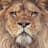 David RT