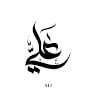 علي بن نور