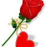 Md.Ebrahim Kholil